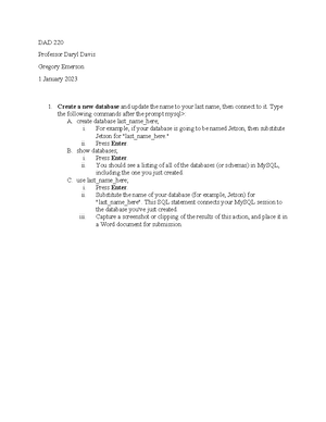 DAD 220 Module Two Activity Template - DAD 220 Module 2 Professor Daryl ...