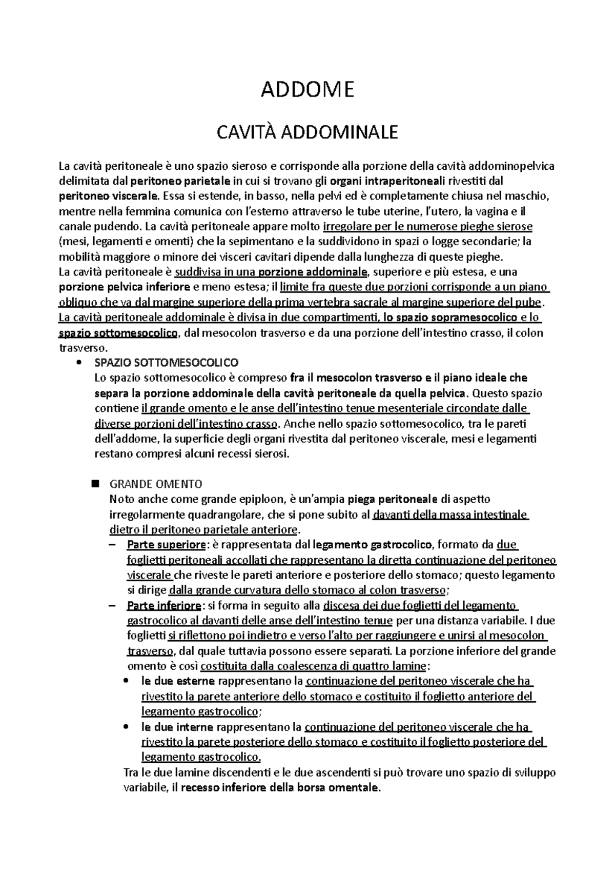 ANATOMIA TOPOGRAFICA: Cavità addominale spazio sottomesocolico - ADDOME ...