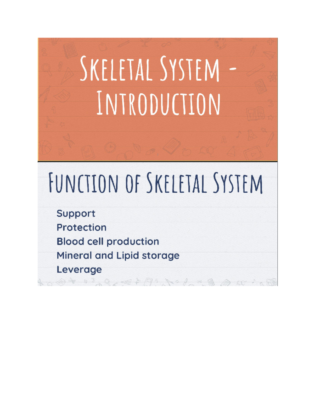 Skeletal system - Nursing 13 - Studocu
