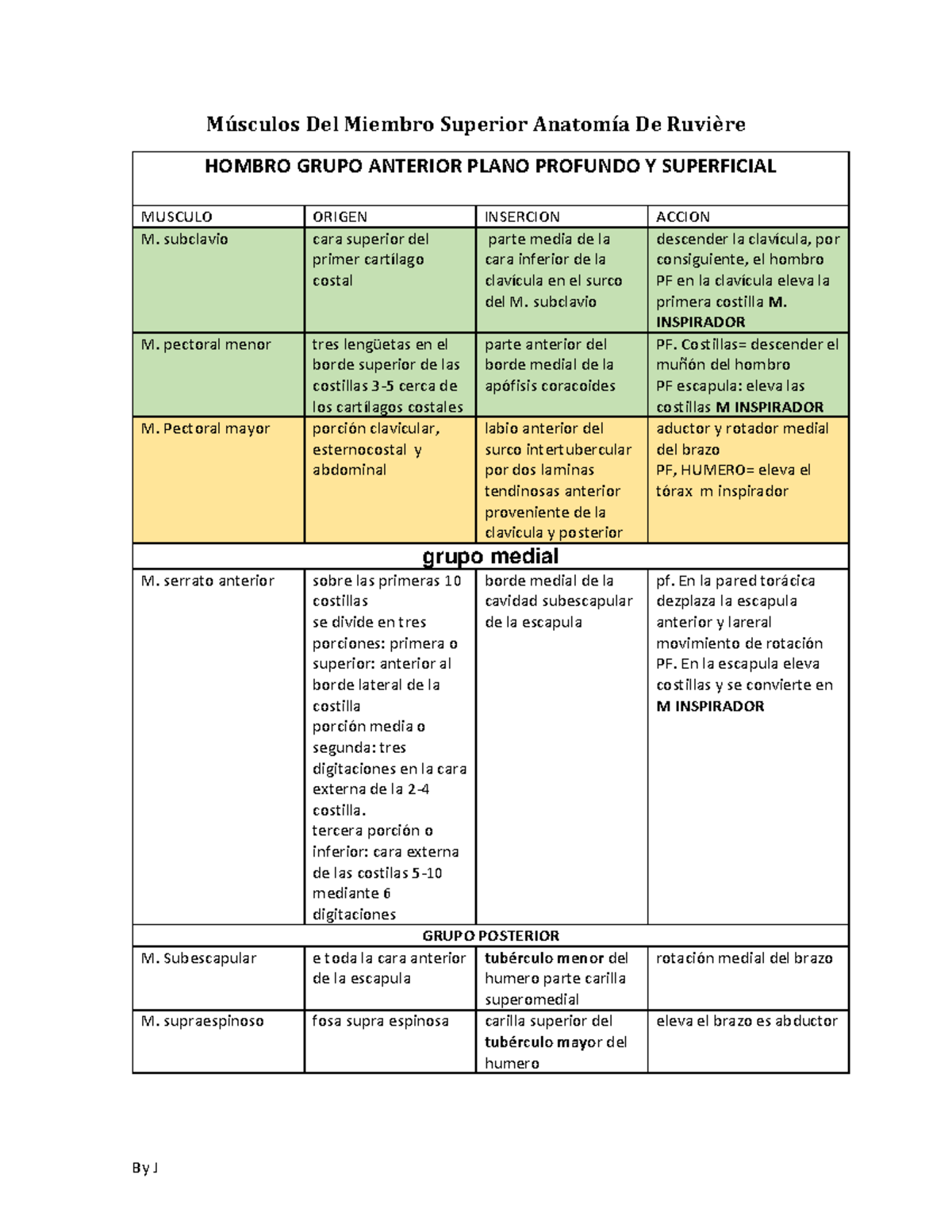 Músculos del miembro superior resumen - Músculos Del Miembro Superior ...
