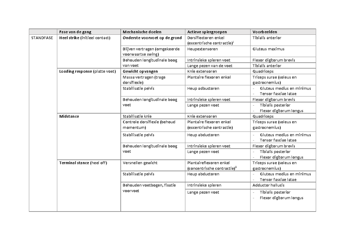 Fases van Gaite cyclus - Fase van de gang Mechanische doelen Actieve ...