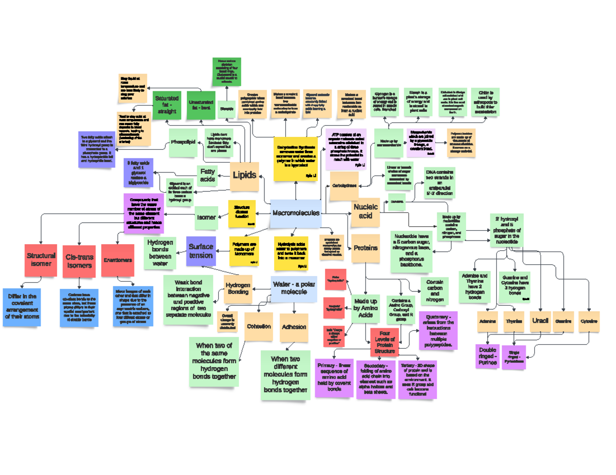Concept map chapter creation 1 - Macromolecules Proteins Nucleic acid ...