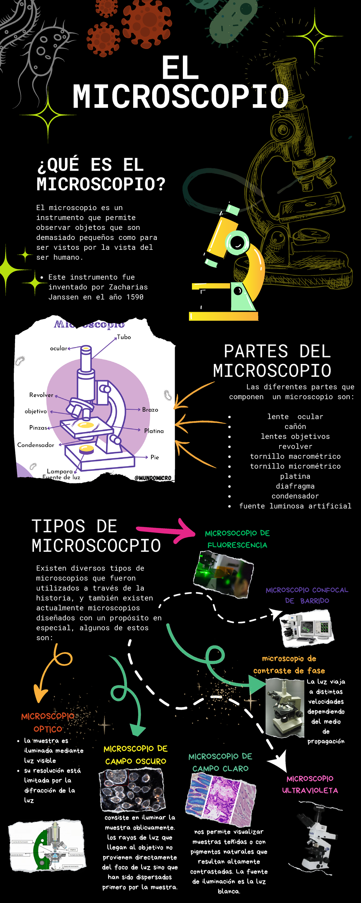 Infografía EL Microscopio - EL MICROSCOPIO ¿QUÉ ES EL MICROSCOPIO ...