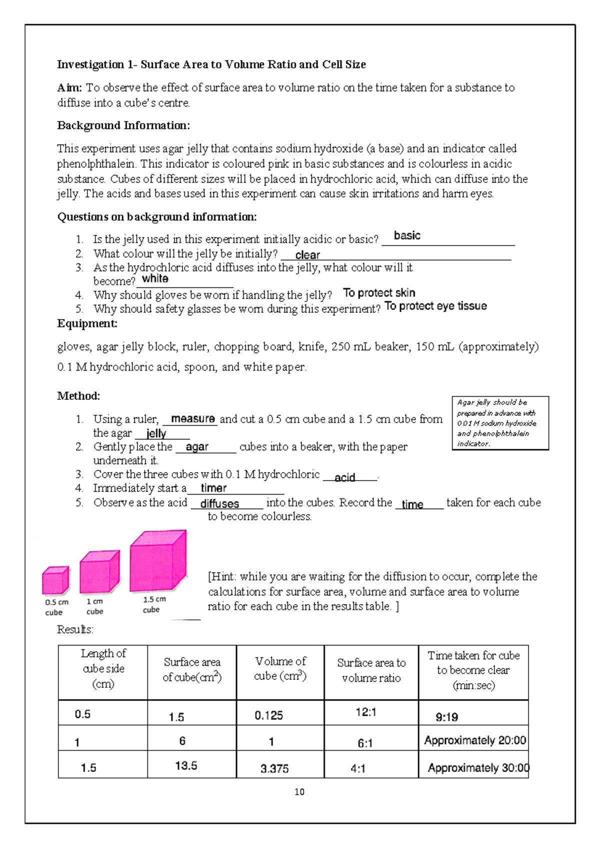 SA to V ratio - Questions - 10 Investigation 1- Surface Area to Volume ...