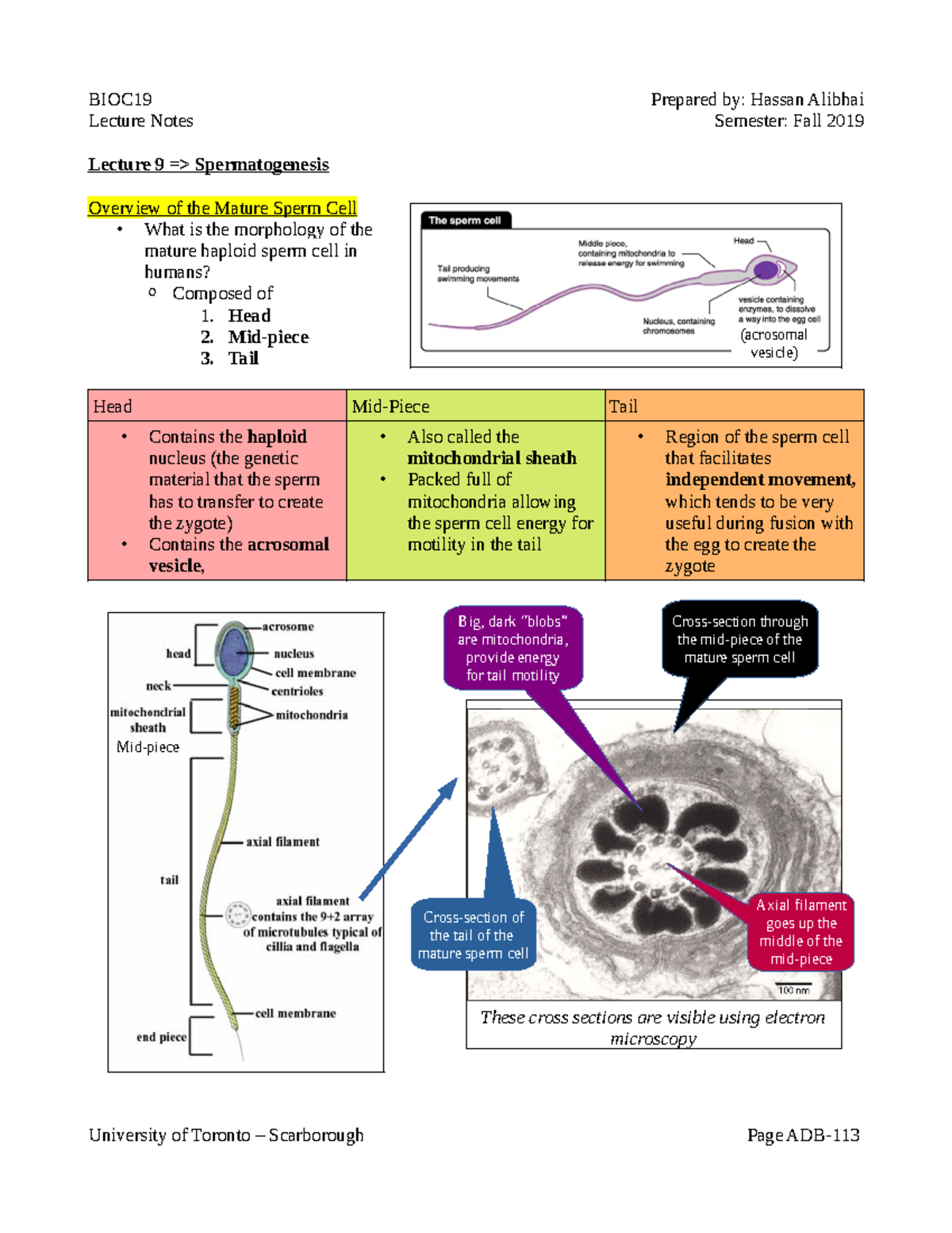 BIOC19 Lecture 9 Notes - Lecture Notes Semester: Fall 2019 Lecture 9 ...