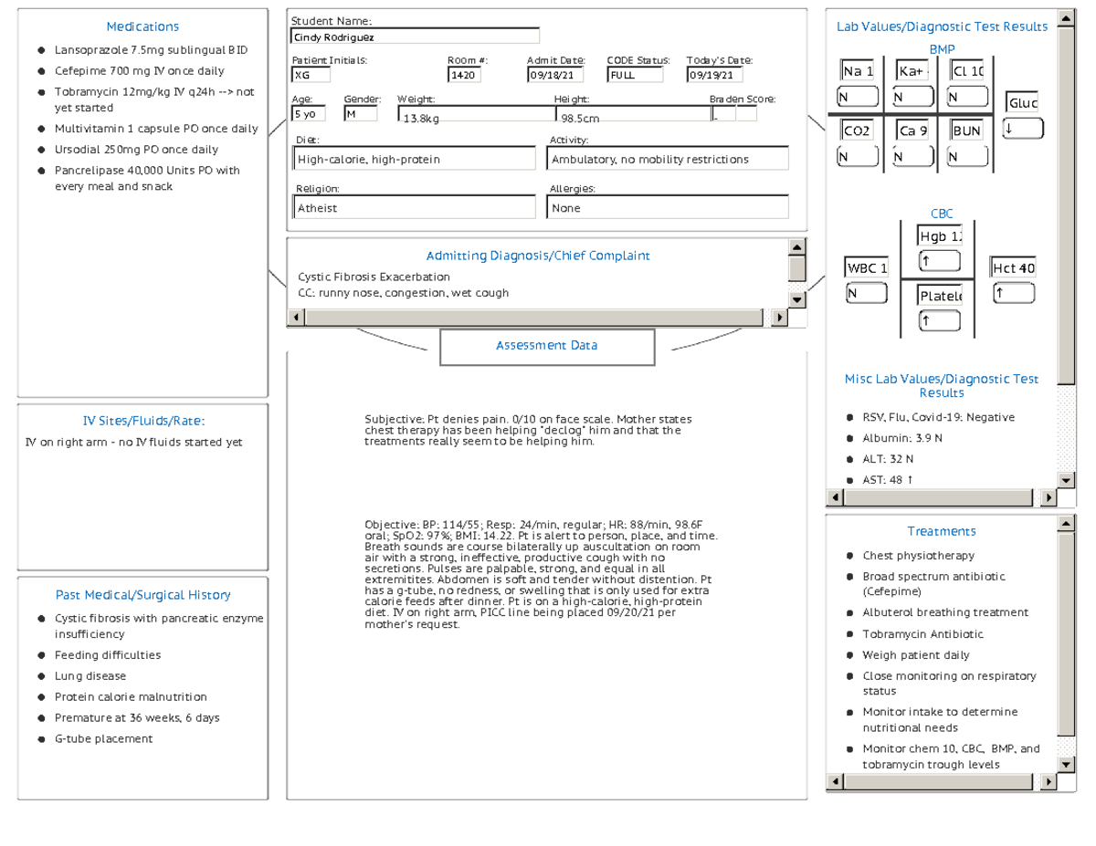 Cystic Fibrosis Concept Map - Medications IV Sites/Fluids/Rate: Past ...
