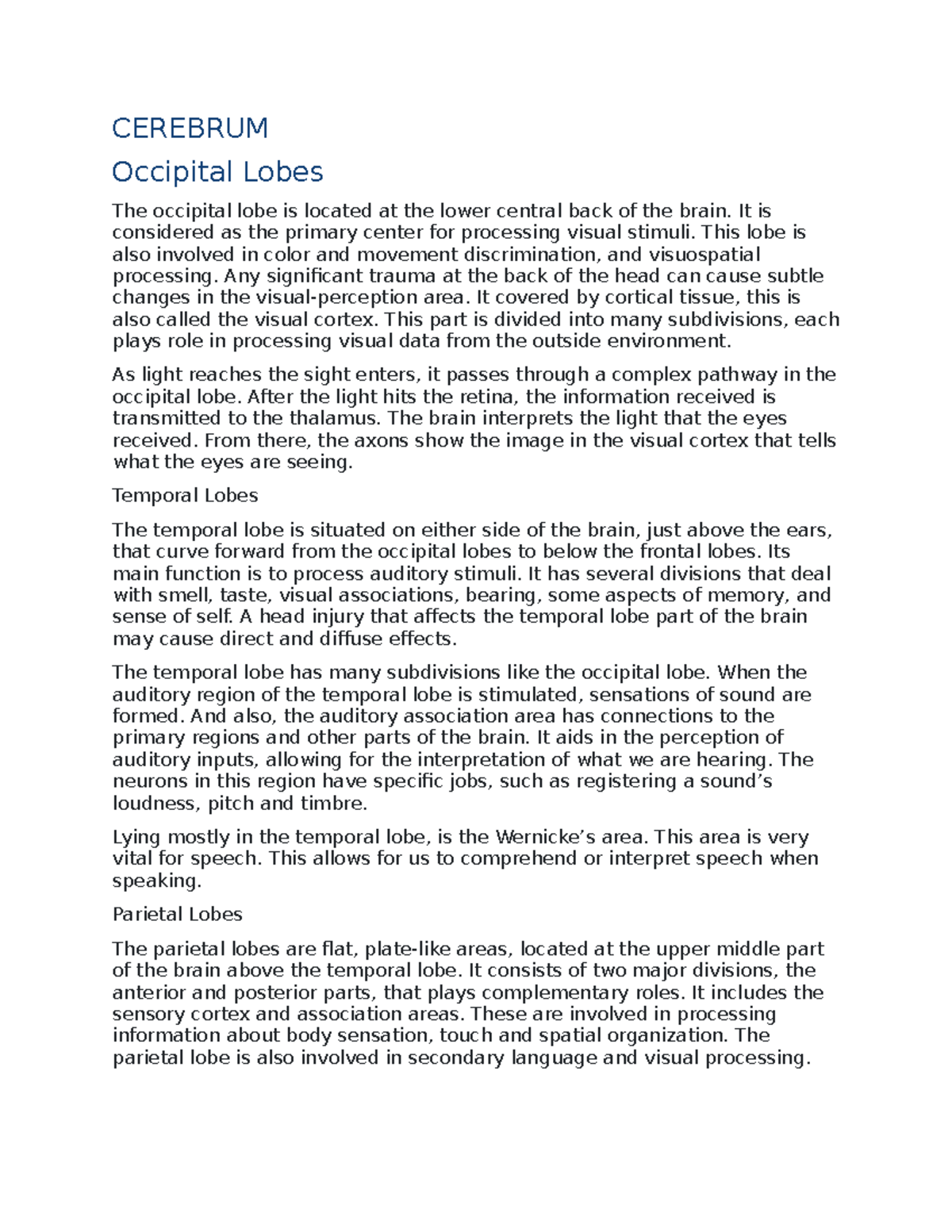Brain and it function - Assignment - CEREBRUM Occipital Lobes The ...