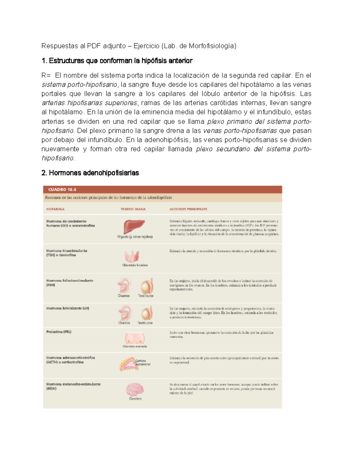 Actividad – Lab. de Morfo - Respuestas al PDF adjunto – Ejercicio (Lab. de Morfofisiología) E s ...