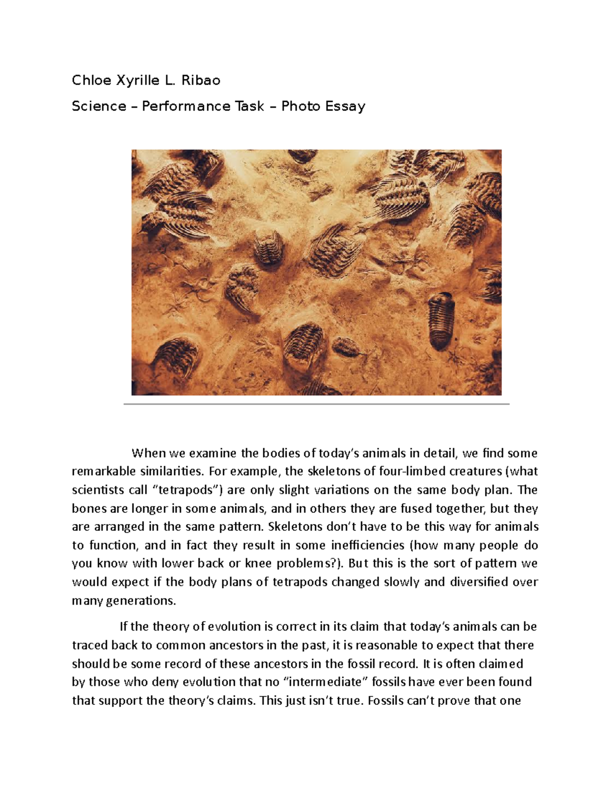 Photo Essay of Fossil - Chloe Xyrille L. Ribao Science – Performance ...