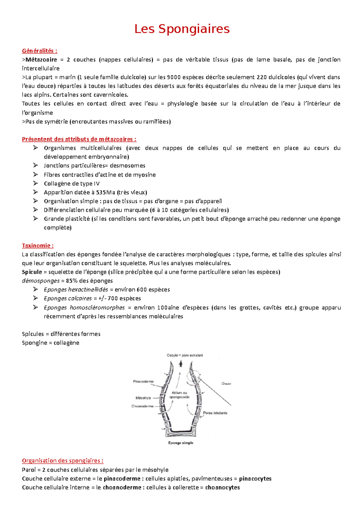 Les spongiaires - cours - Les Spongiaires Généralités : >Métazoaire = 2 ...