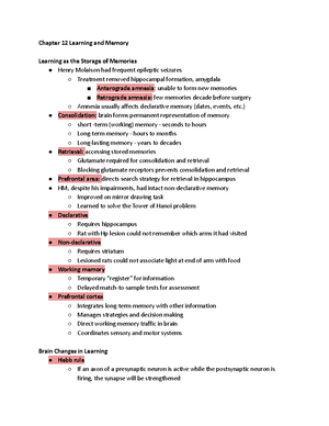 Physio unit 4 Part 2 - Numeric memory at 60 Default mode network is responsible for preparedness ...