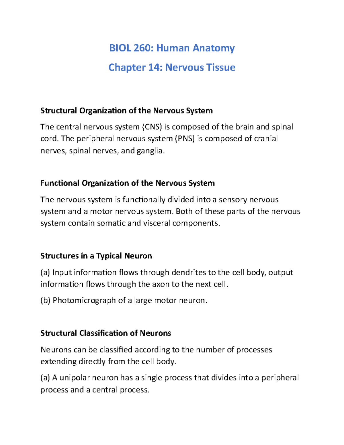 Anatomy Chapter 14 Important Biol 260 Human Anatomy Chapter 14