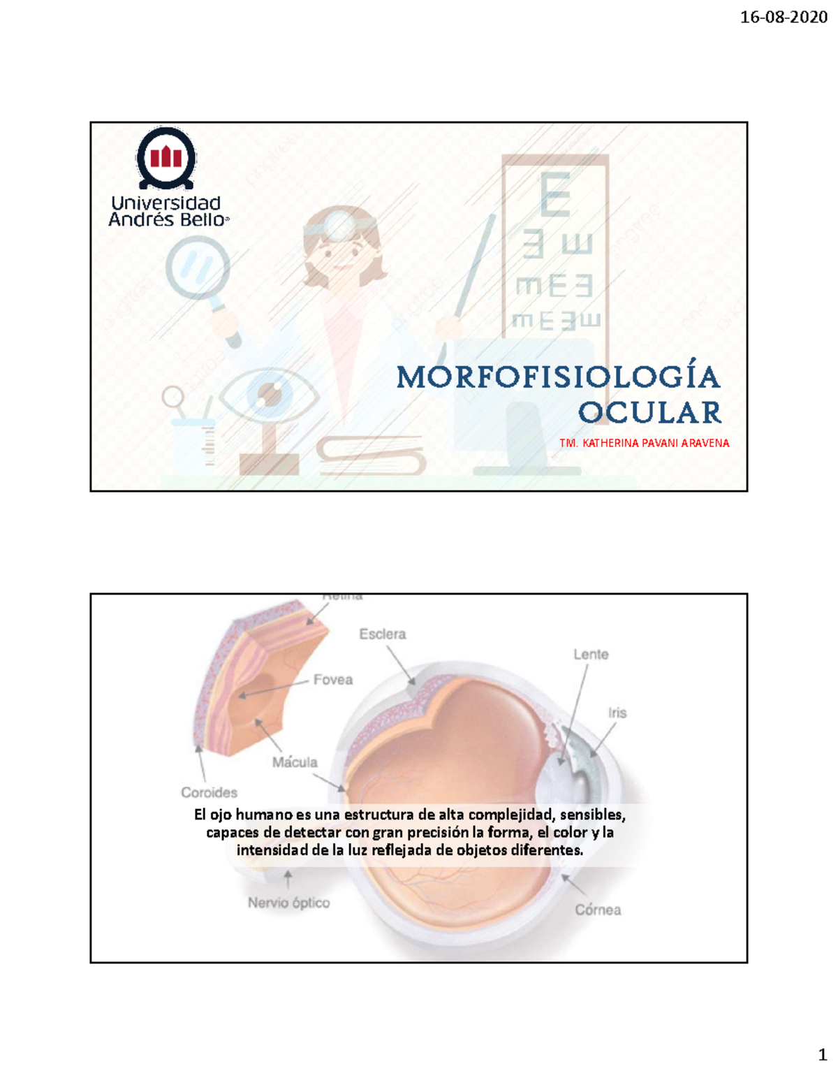 Clase 1 introduccion morfofisio ocular - Warning: TT: undefined function: 32 MORFOFISIOLOGÍA ...