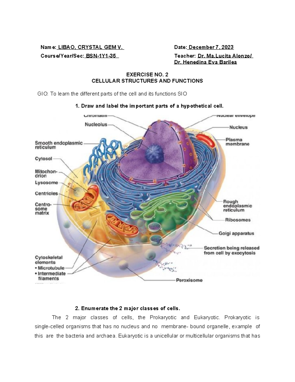 LAB Exercise Cell Structures and Functions - Name: LIBAO, CRYSTAL GEM V ...