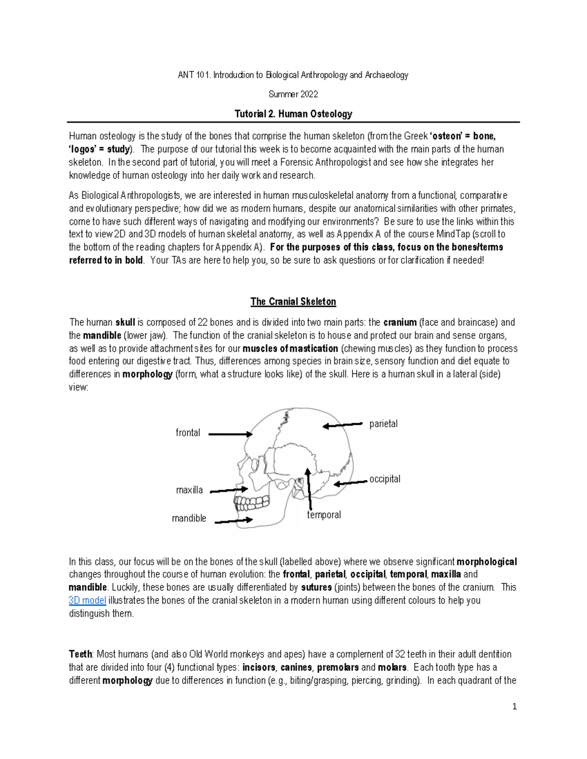 ANT101 - Tutorial 2 - ANT 1 01. Introduction to Biological Anthropology ...