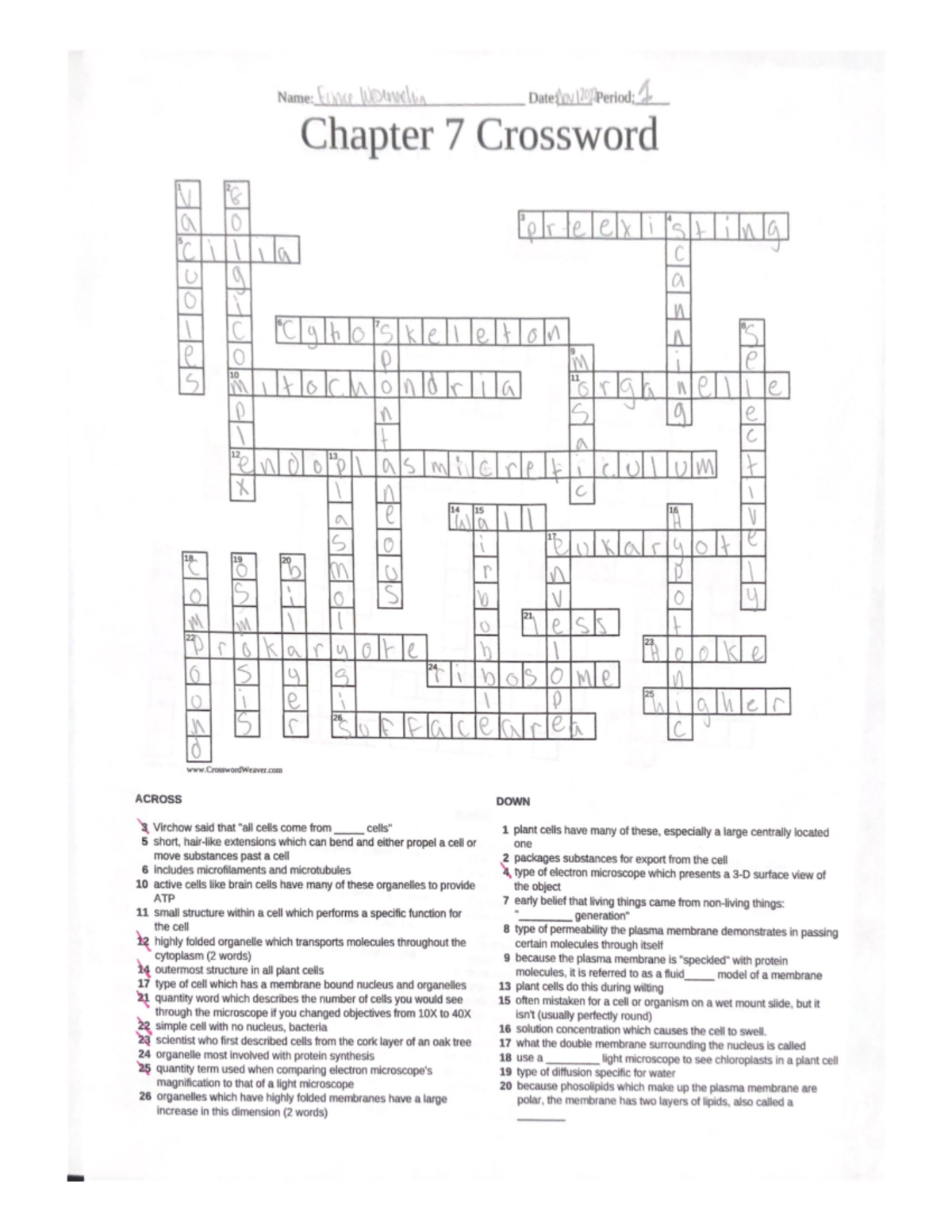 Crossword Ch7 answer - Studocu