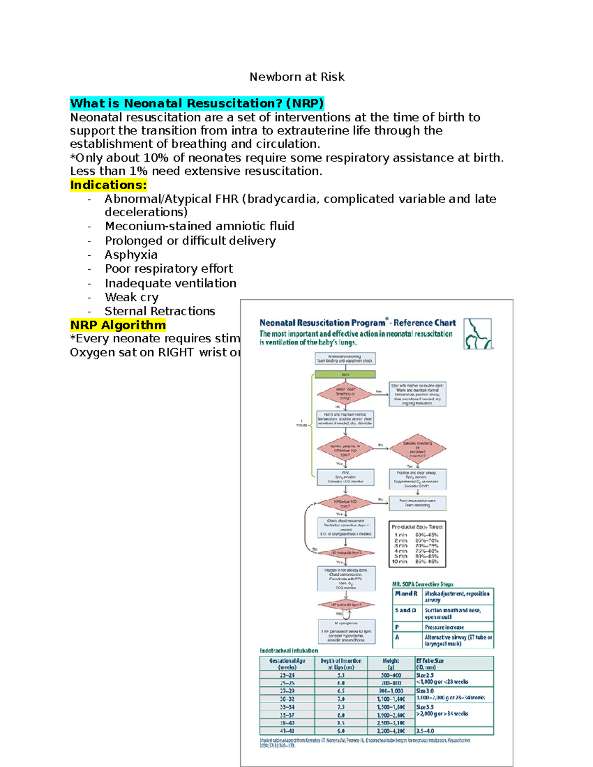 Newborn at Risk Module 10 - Newborn at Risk What is Neonatal ...