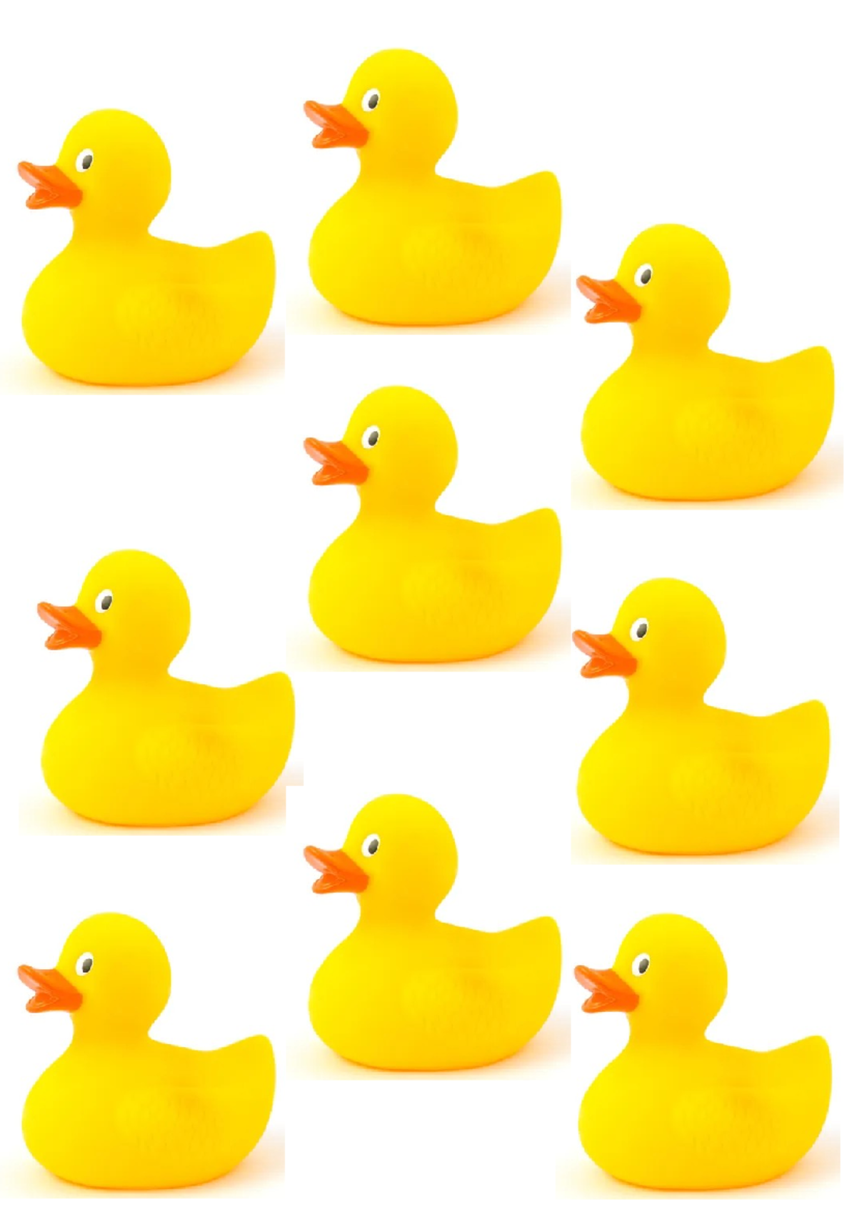 Patos - es buenoñ - Educación - 26, o ziz O 2b2 26, o ziz O 2b2 - Studocu