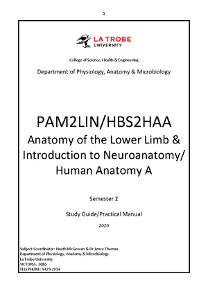 Bone Anatomy - Anatomy Bones Axial Bones Appendicular Flat Bones Long ...