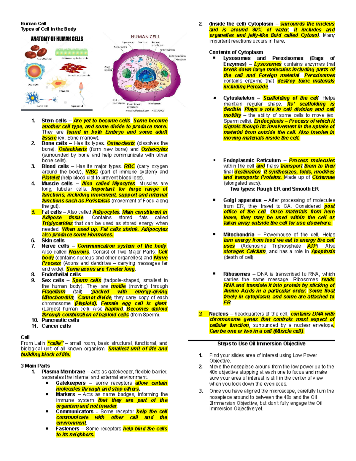 Anaphy Reviewer - EARLY NOTES - Human Cell Types of Cell in the Body ...