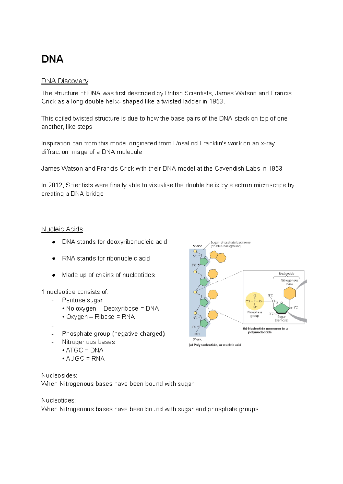 Mol Bio Lecture Notes - DNA DNA Discovery The structure of DNA was ...