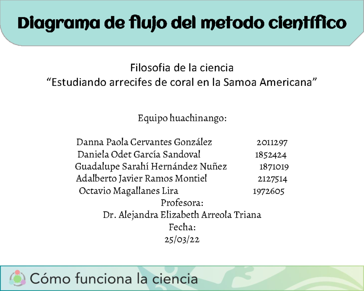 Diagrama de flujo del metodo científico - Filosofia de la ciencia