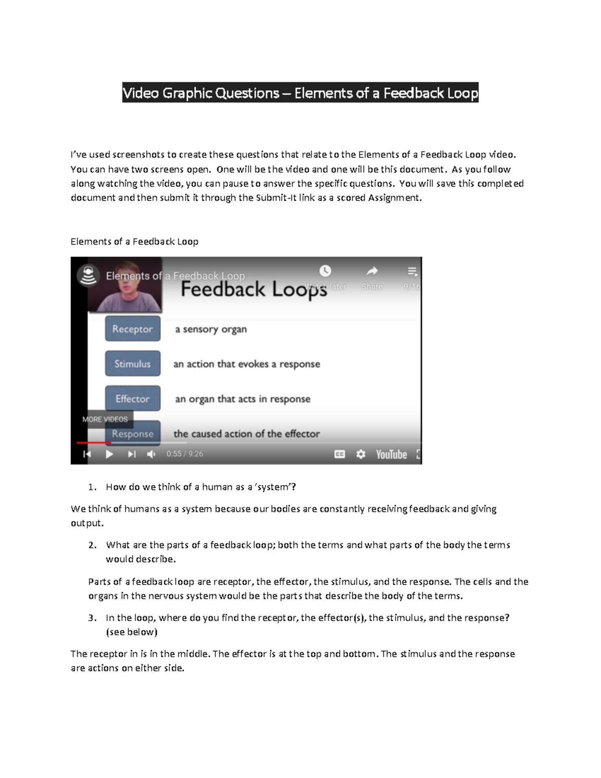 Video graphic questions Elements of a Feedback Loop - Video Graphic ...