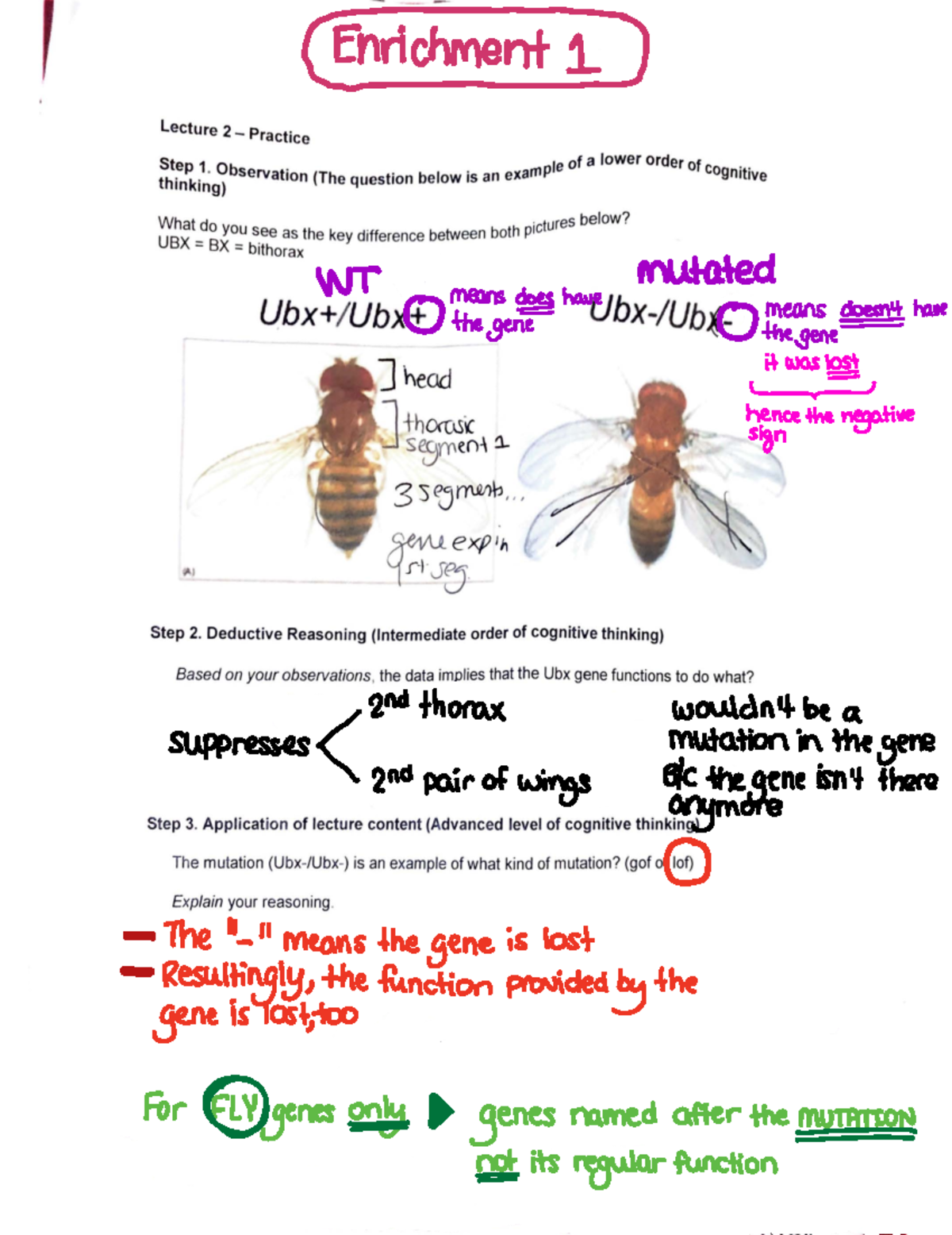 Enrichment 1 8 - Lecture notes 1 - , Lecture 2 -Practice Step 1 Ob le ...