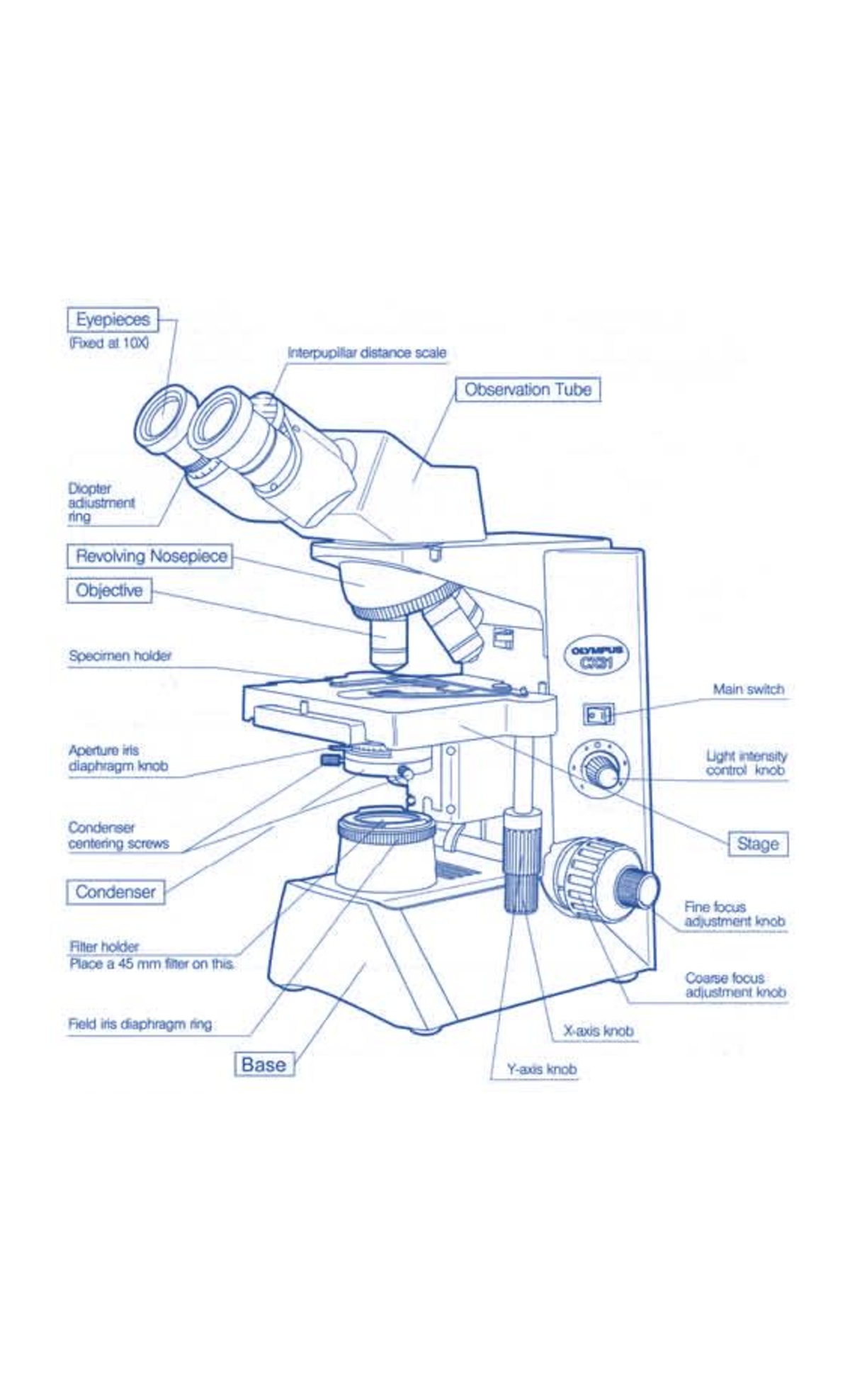 Microscope - Medical Laboratory Science (MedTech) - Eyepieces (Fixed at ...