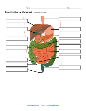 Med Term Digestive System Project - Pharynx: This organ carries air and ...