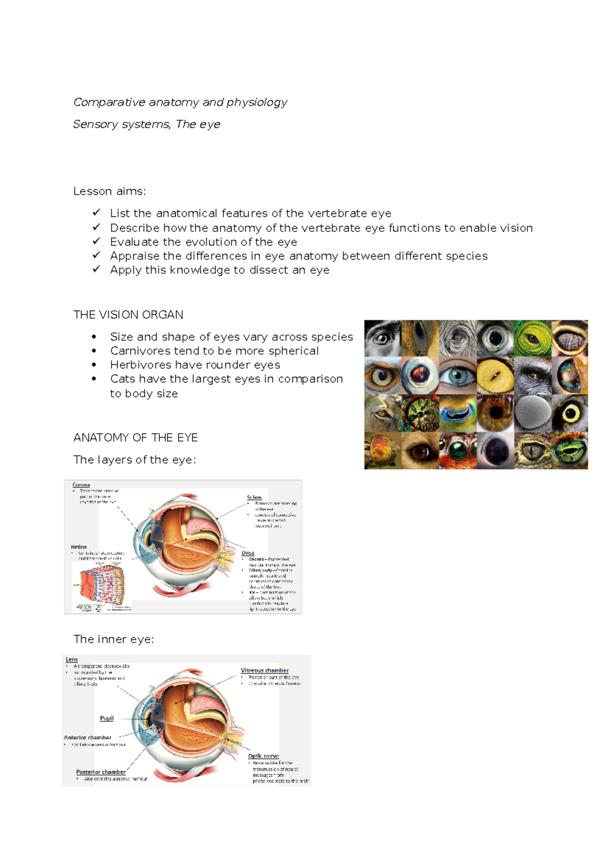 Sensory systems- the eye - Comparative anatomy and physiology Sensory ...