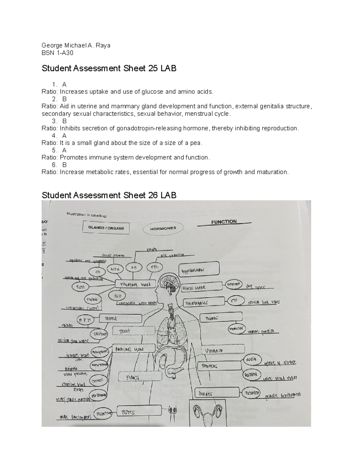 SAS 25-33 Anaphy LAB - RAYA - George Michael A. Raya BSN 1-A Student ...