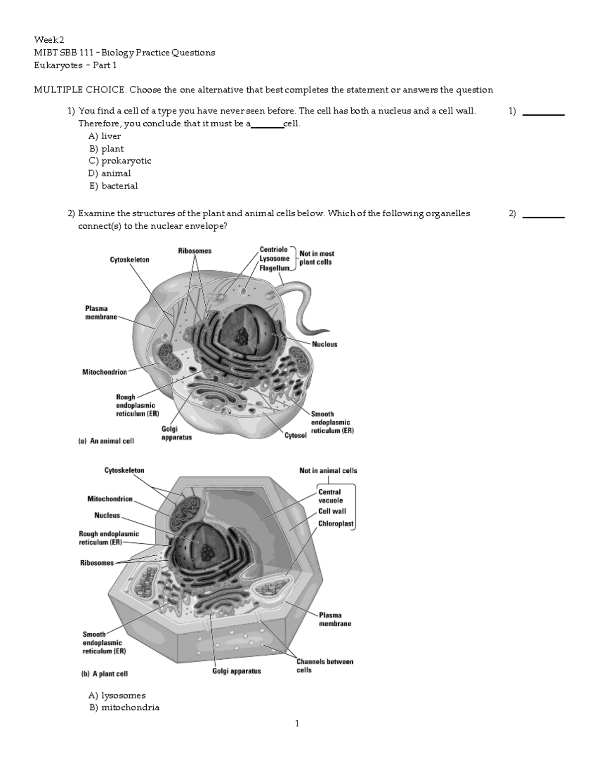Answers eukaryote worksheet - Week MIBT SBB 111 - Biology Practice ...