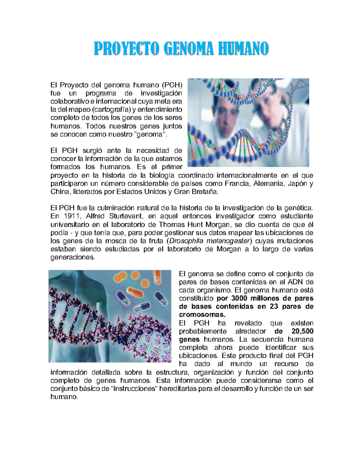 Proyecto genoma humano - El Proyecto del genoma humano (PGH) fue un programa de investigación ...