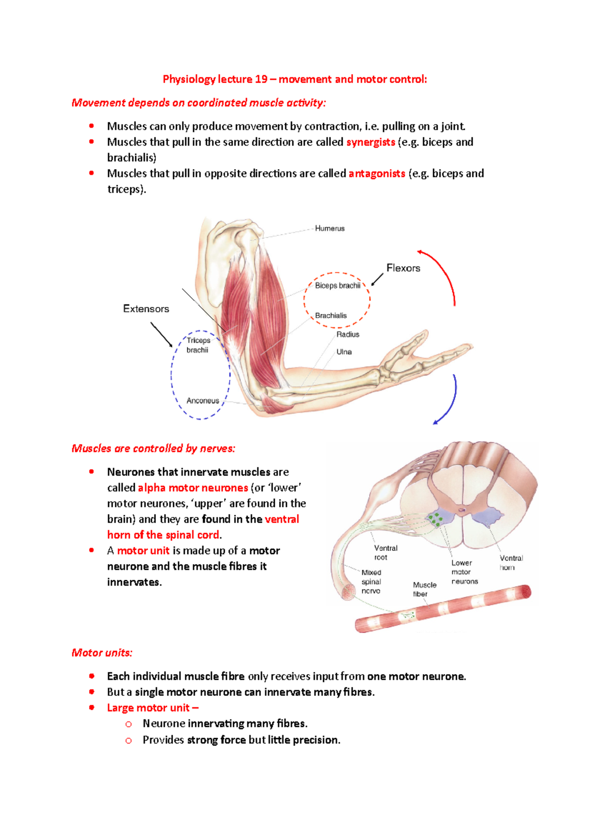 PSC1002 Physiology lecture 19 - movement and motor control - Physiology ...
