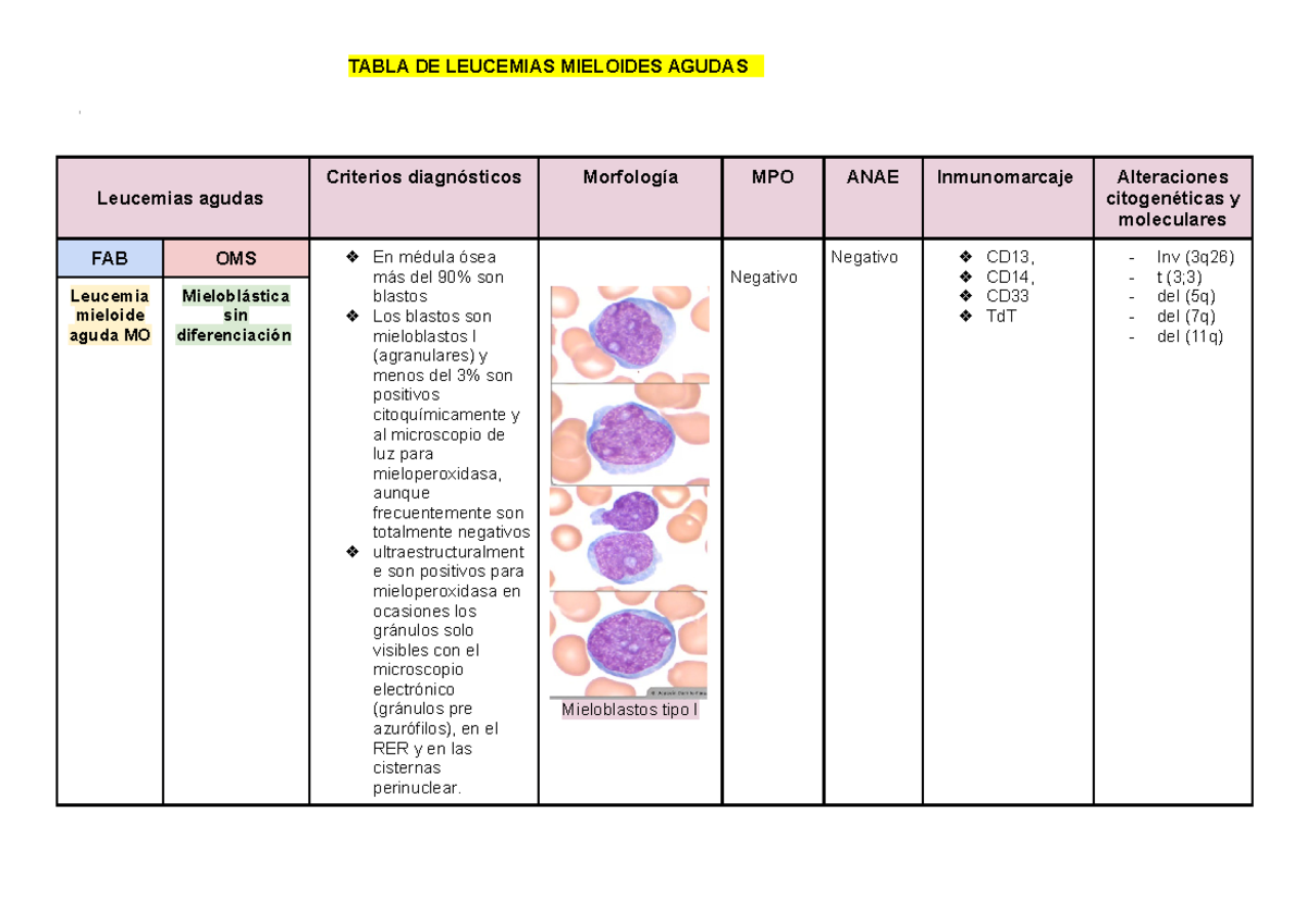 Leucemias mieloides - Apuntes 1 - Leucemias agudas Criterios ...