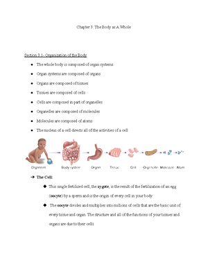 Section 2.7 Analyzing Graphs of Functions and Piecewise-Defined ...