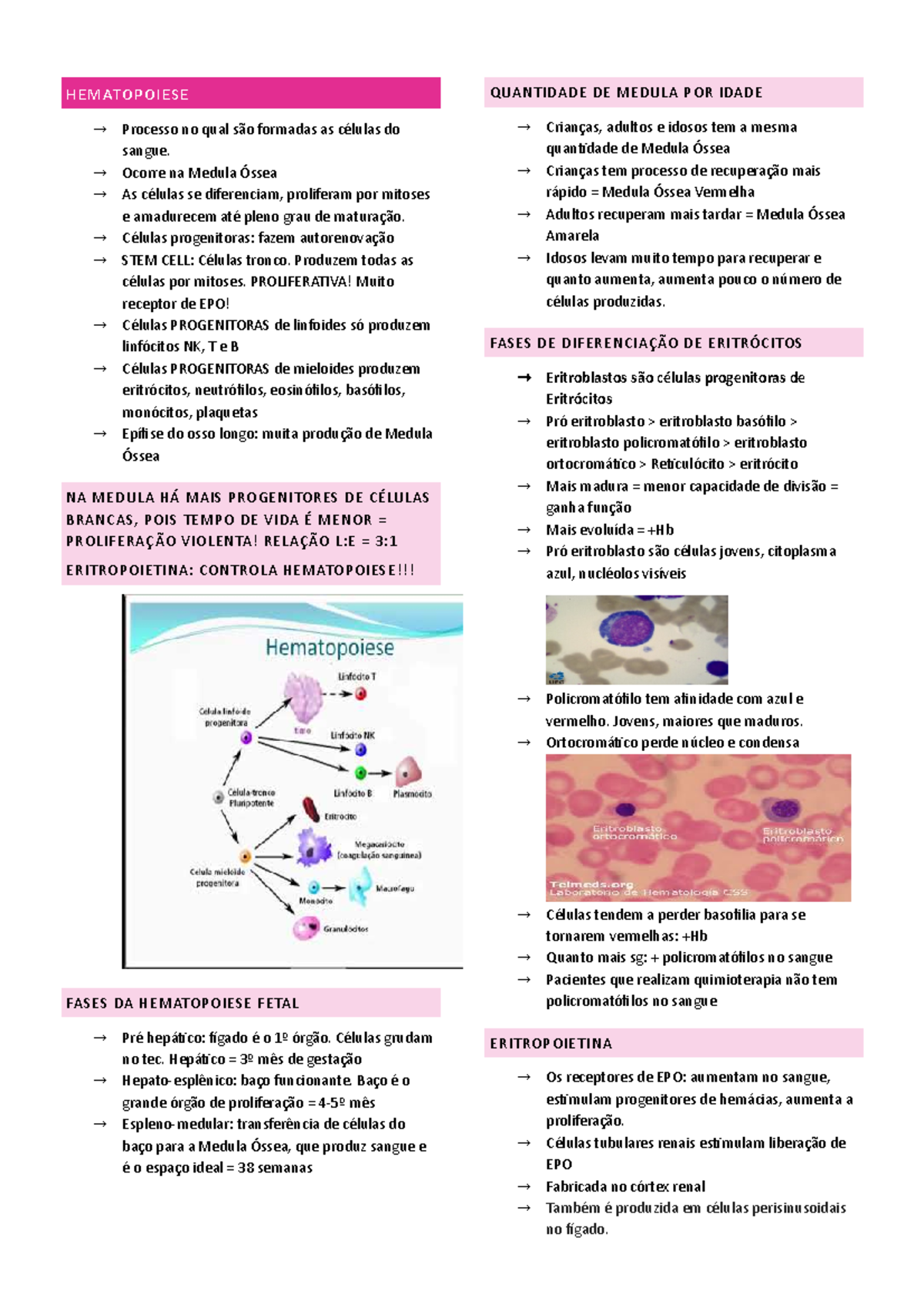 Hematopoiese Resumo 1 - HEMATOPOIESE Processo no qual são formadas as ...