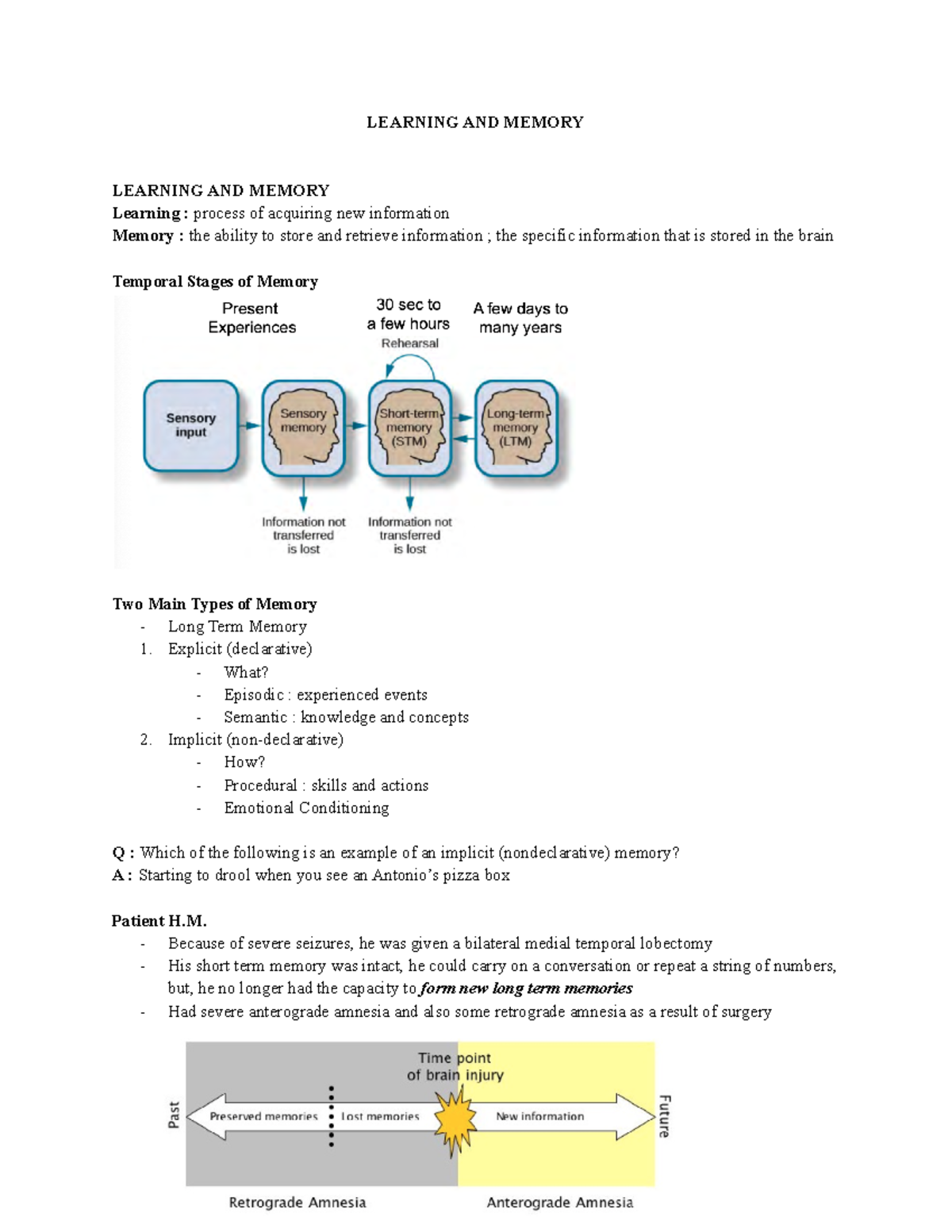 Psych 330 Week 14 Slide Notes - LEARNING AND MEMORY LEARNING AND MEMORY ...