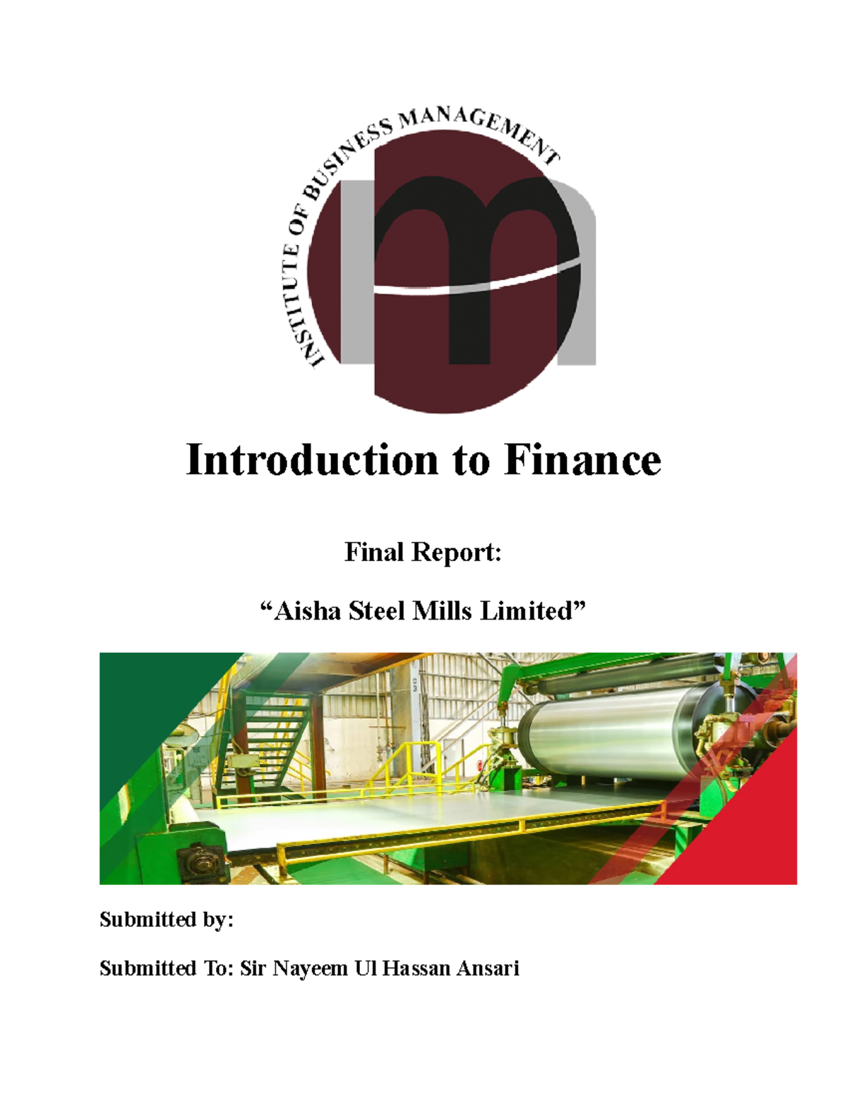 IBF Report (IBF) - Introduction to Finance Final Report: “Aisha Steel ...