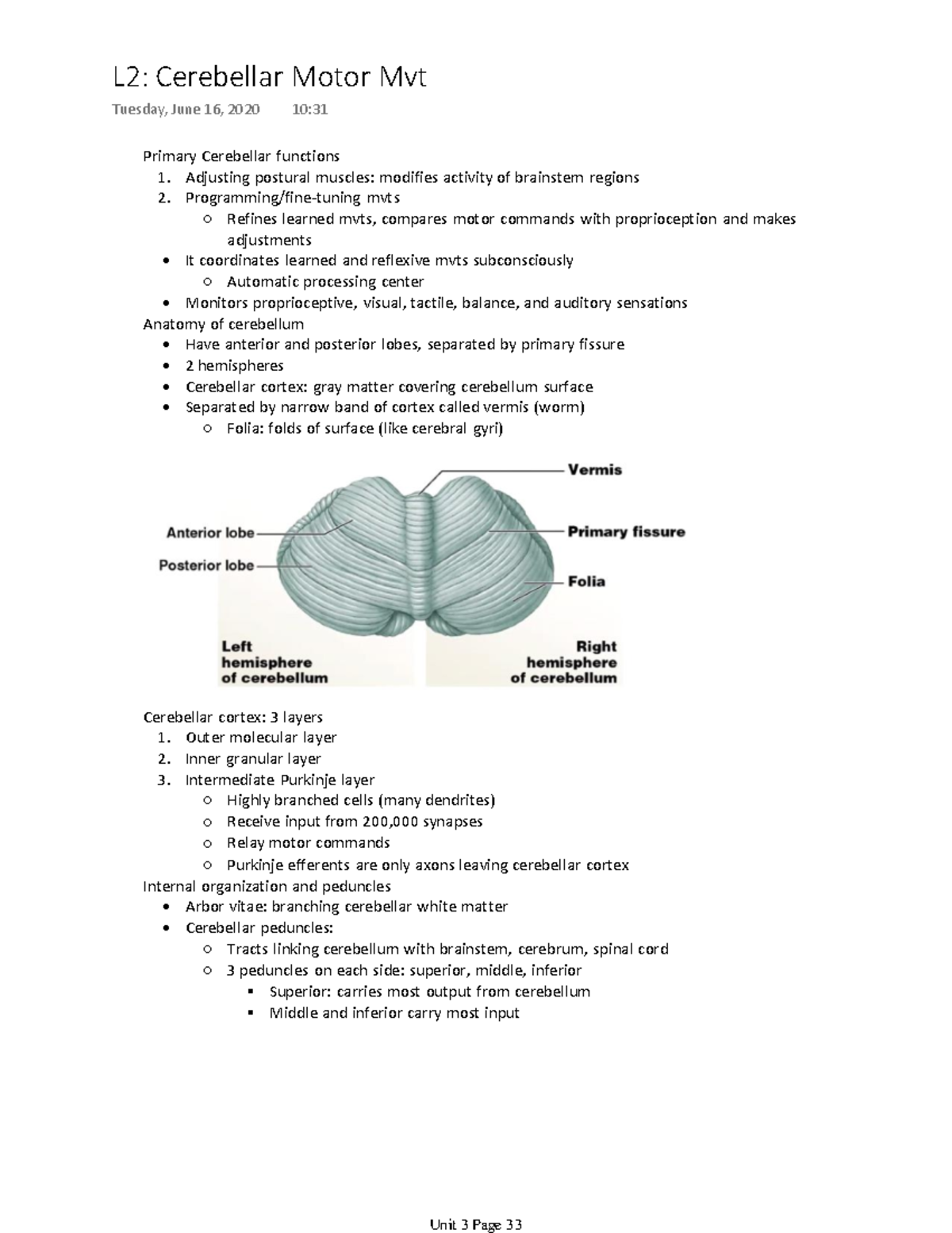 Unit 3 Lecture 2 Cerebellum - Primary Cerebellar functions Adjusting ...