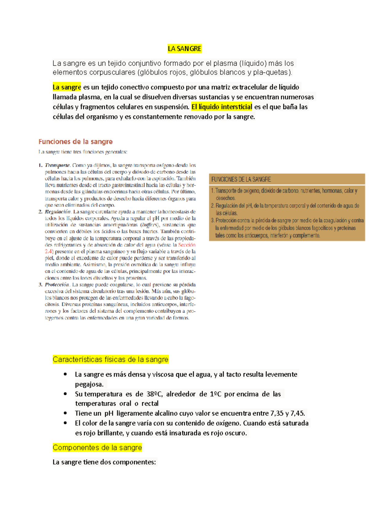 Sangre - LA SANGRE La sangre es un tejido conjuntivo formado por el ...