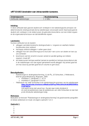 Rubrics H1 werkplan 5 maanden stage - Rubrics H1 werkplan stage HBO ...