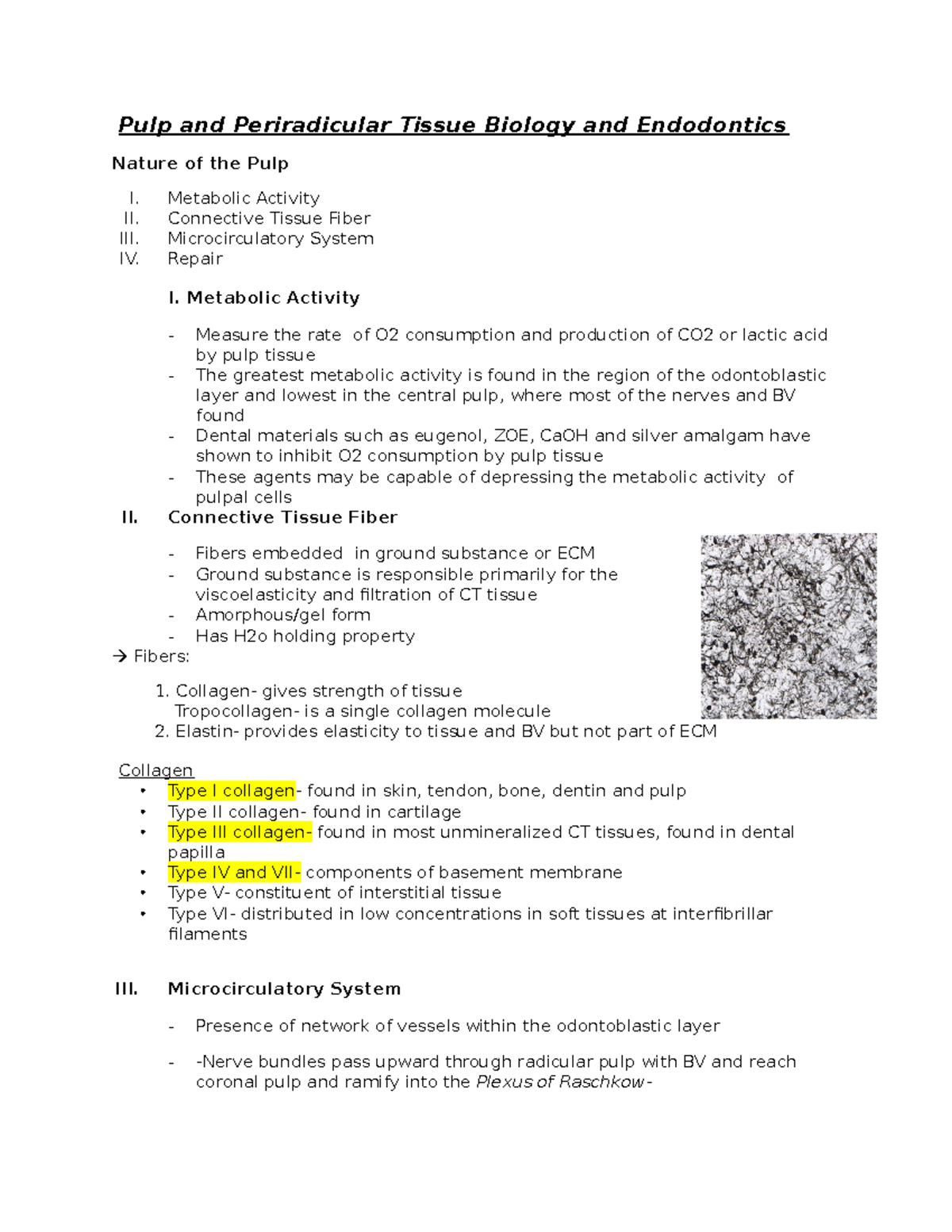 Pulp and Periradicular Tissue Biology and Endodontics - II. IV ...