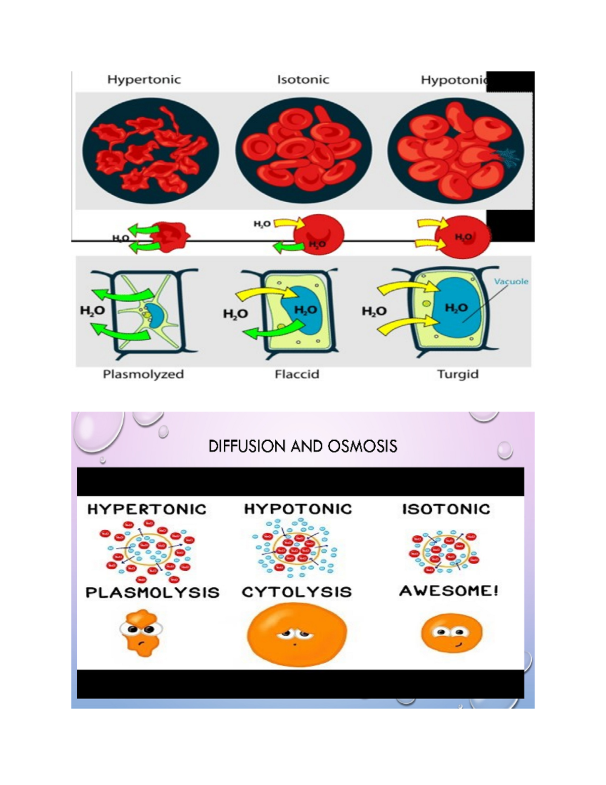 8. Hypo, Iso, and Hyper- tonic Fluids - NUR2063 - Studocu