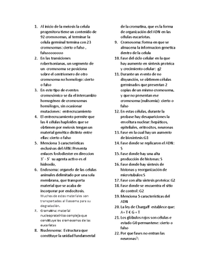 Examen 6 - EXAMEN 6 Correcta: los componentes del sistema traduccional ...