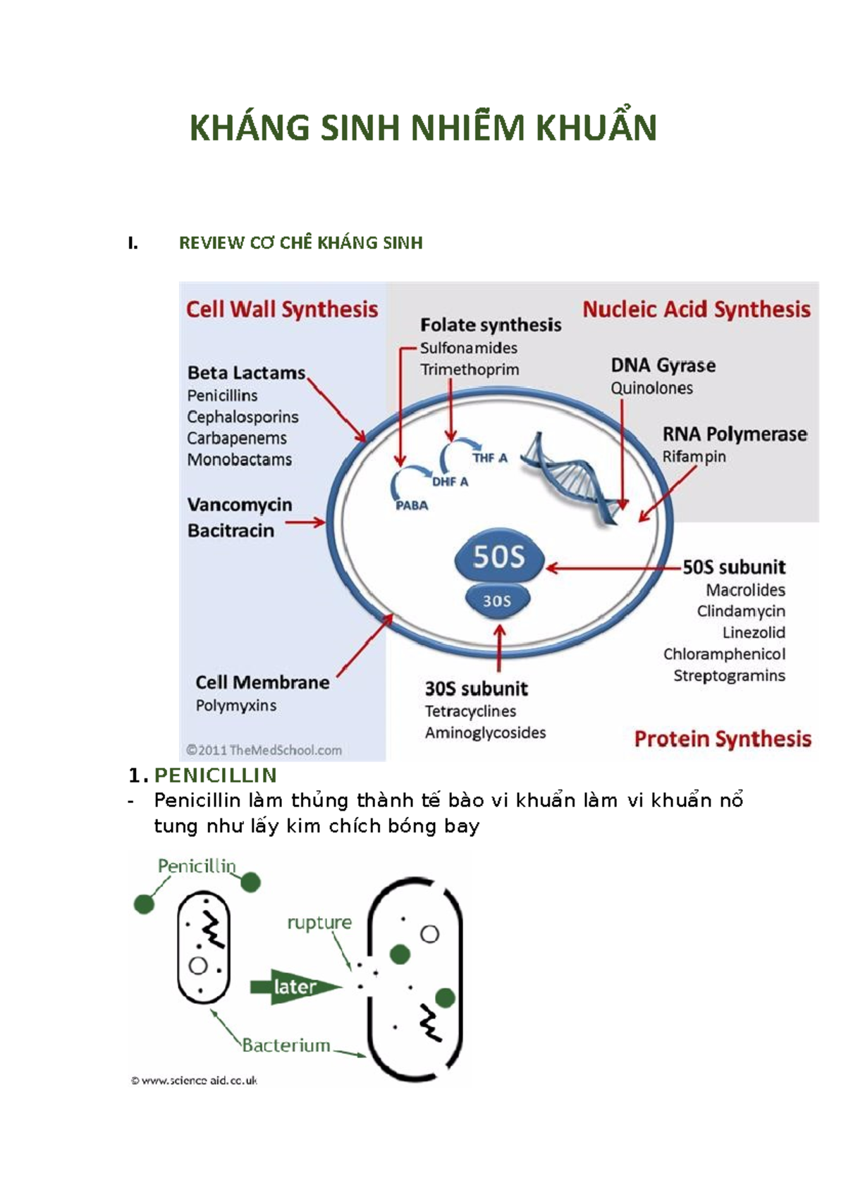 Kháng SINH NHIỄM KHUẨN - y dược - KHÁNG SINH NHIỄỄM KHU ẨN I. REVIEW C ...