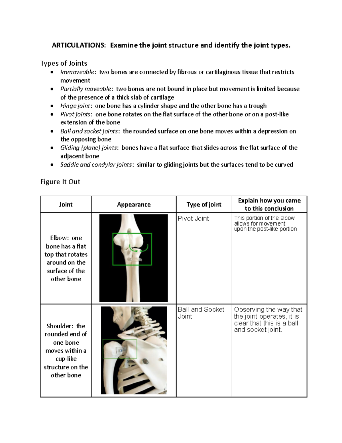 Bone Lab report - Complete - ARTICULATIONS: Examine the joint structure ...