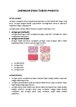 Kulit dan Jaringannya ( Sistem Intergumen) - Pengertian sistem ...