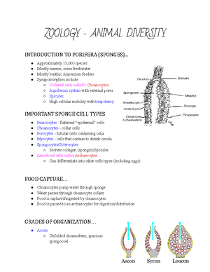 Zoology Notes part 19 - ZOOLOGY - ANIMAL DIVERSITY INTRODUCTION TO ...